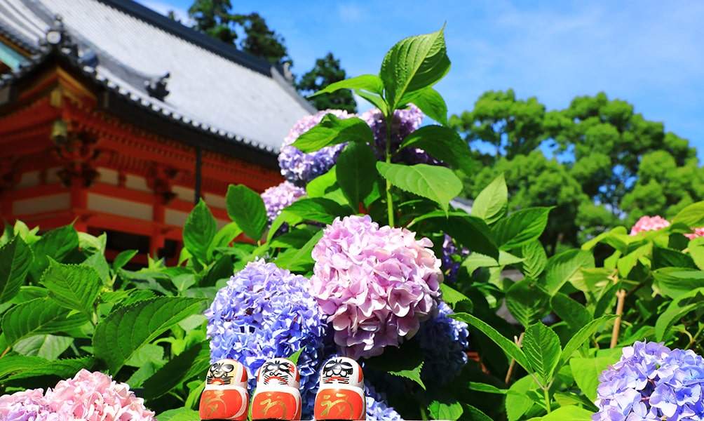 Fireworks Limited-Osaka Minoh & Naniwa Yodogawa Fireworks Festival One ...